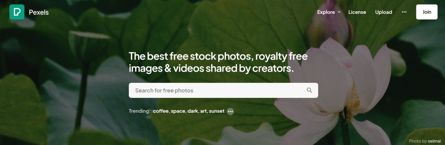 How Does Pexels Make Money? Dissecting Its Business Model