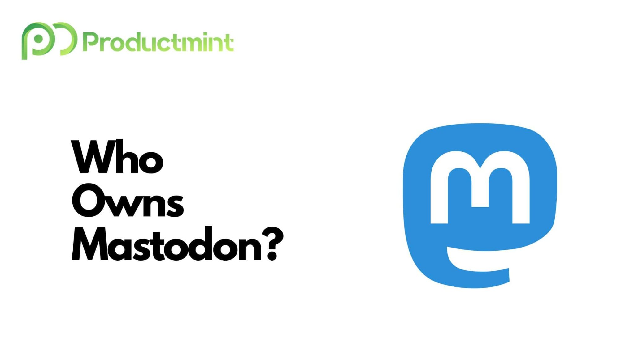 Who Owns Mastodon?